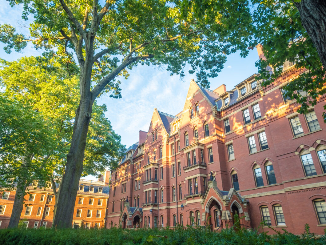 Shop – usaviptours.com